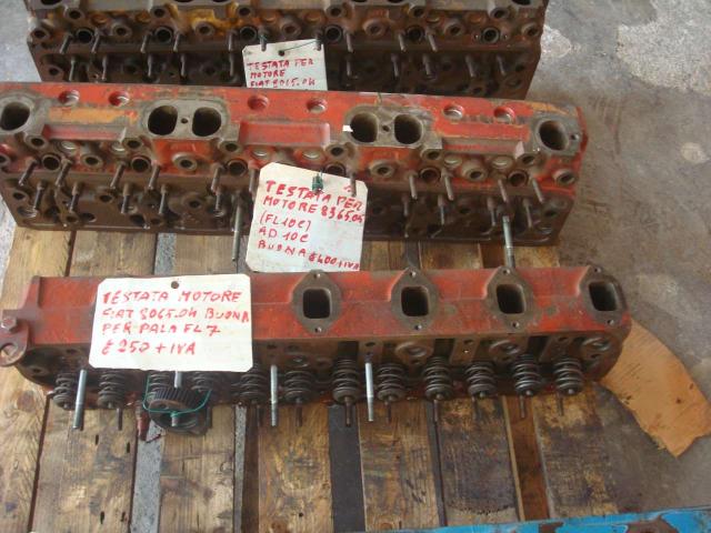 Cylinder head for Fiat 8065.04 for sale in Rome by OLM 90 Srl
