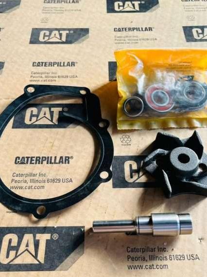 Caterpillar 2470144 - Pump group for sale in Ravenna by Duranti s.a.s.